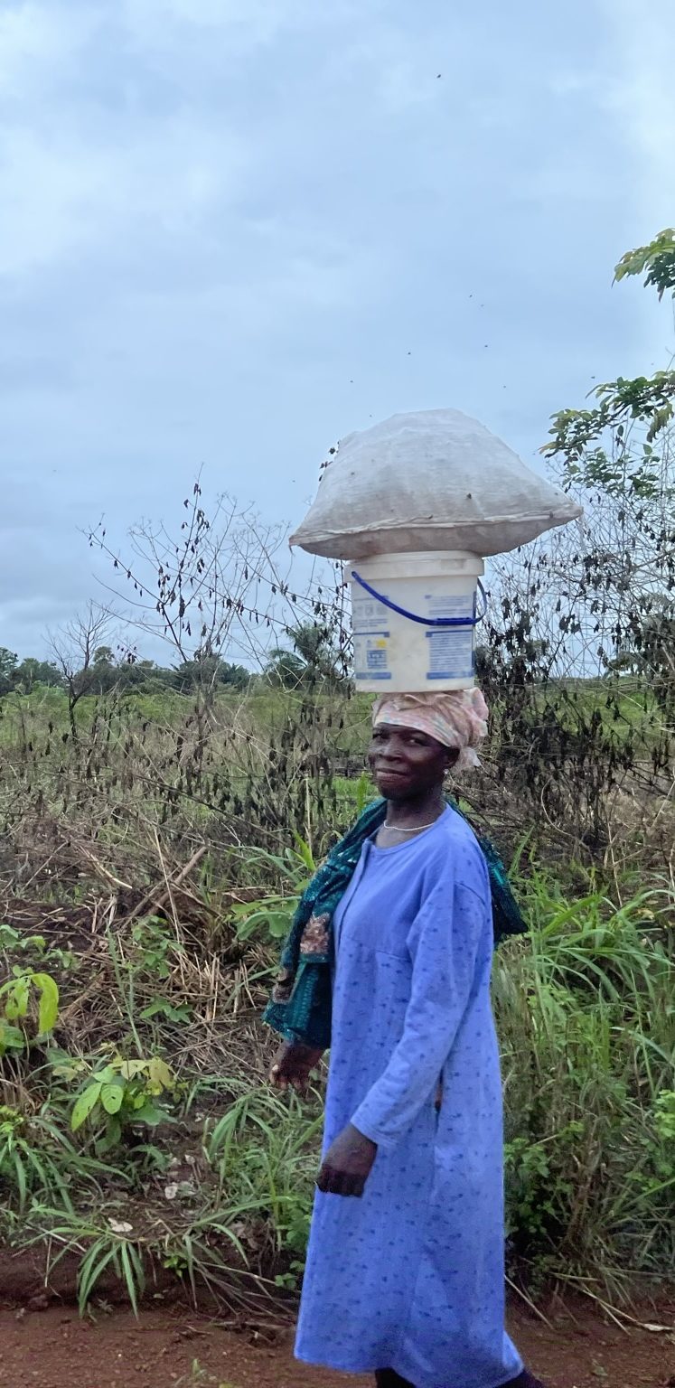 A basket? On your Head? - Coafrica